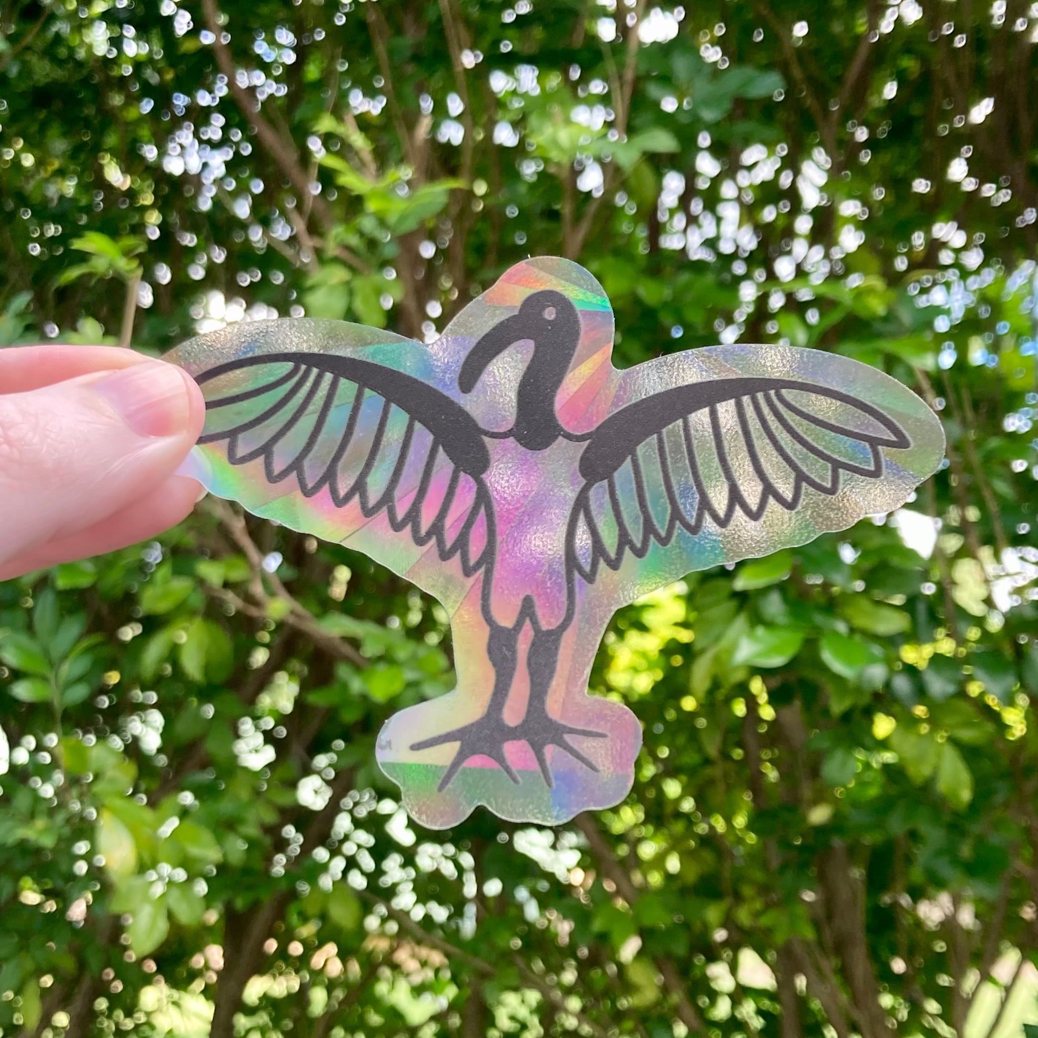 Ibis Wings Rainbow Suncatcher – Jesse Irwin Art
