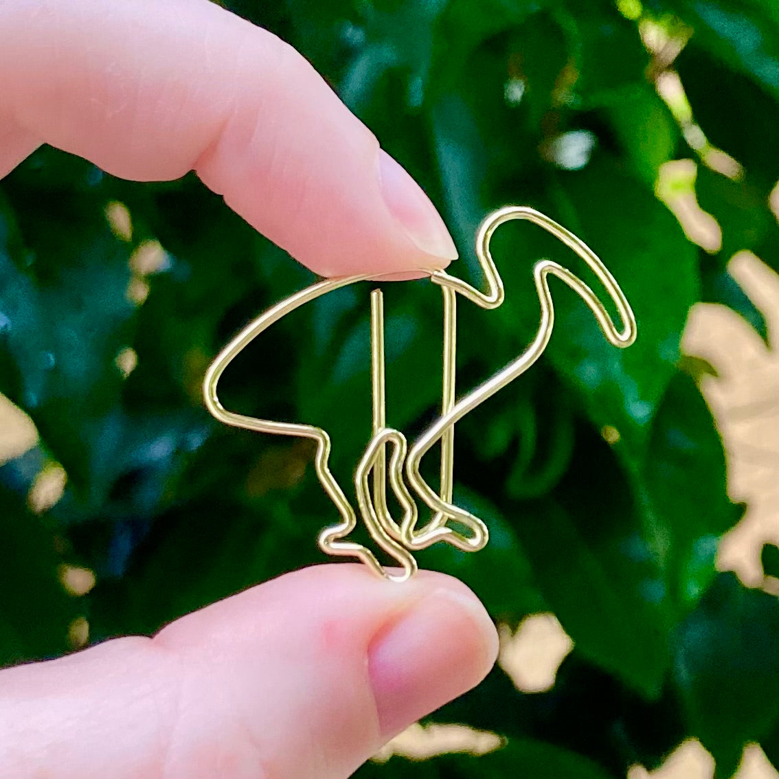 Bin Chicken Paper Clips – Jesse Irwin Art