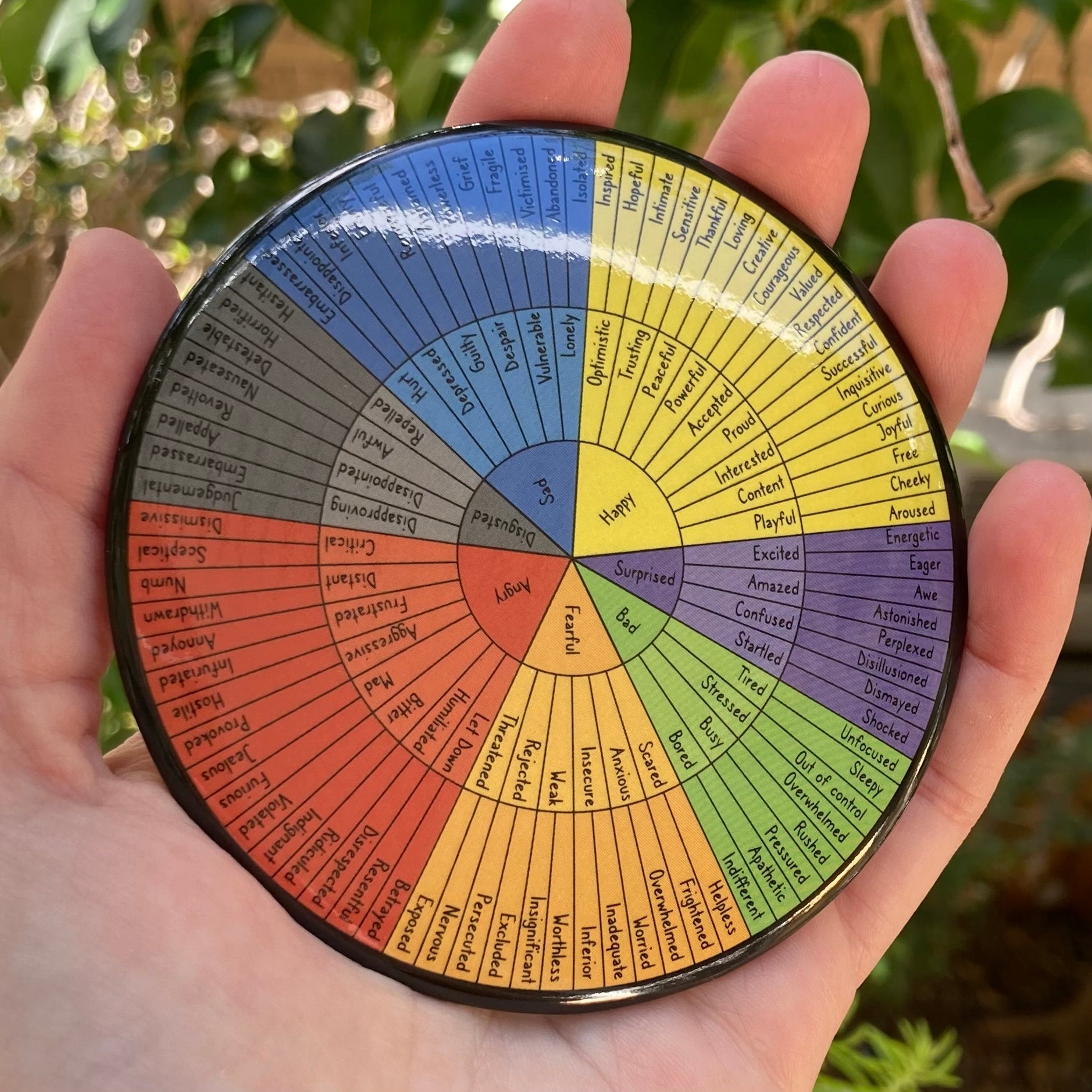 Feelings Wheel Magnet – Jesse Irwin Art